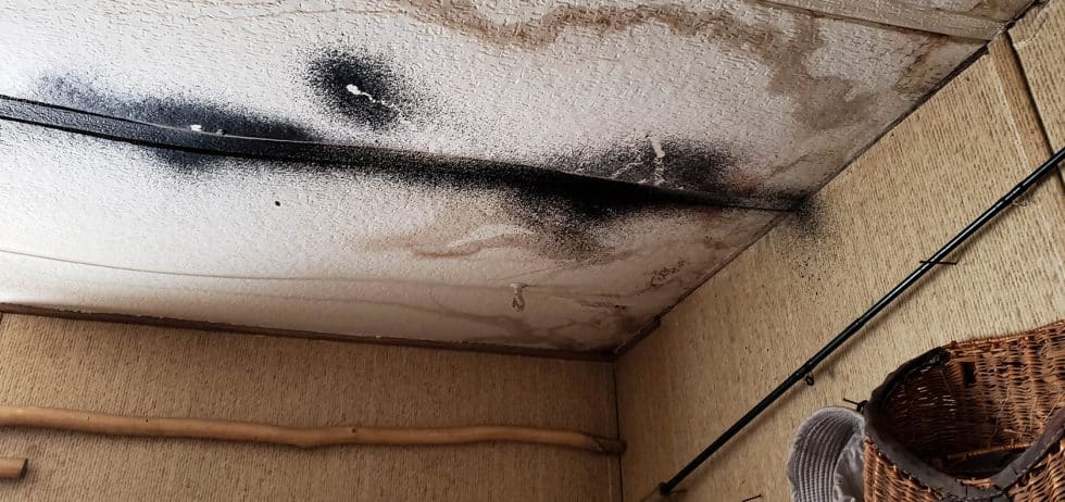 Insurance Tips Archives - MAPFRE Insurance